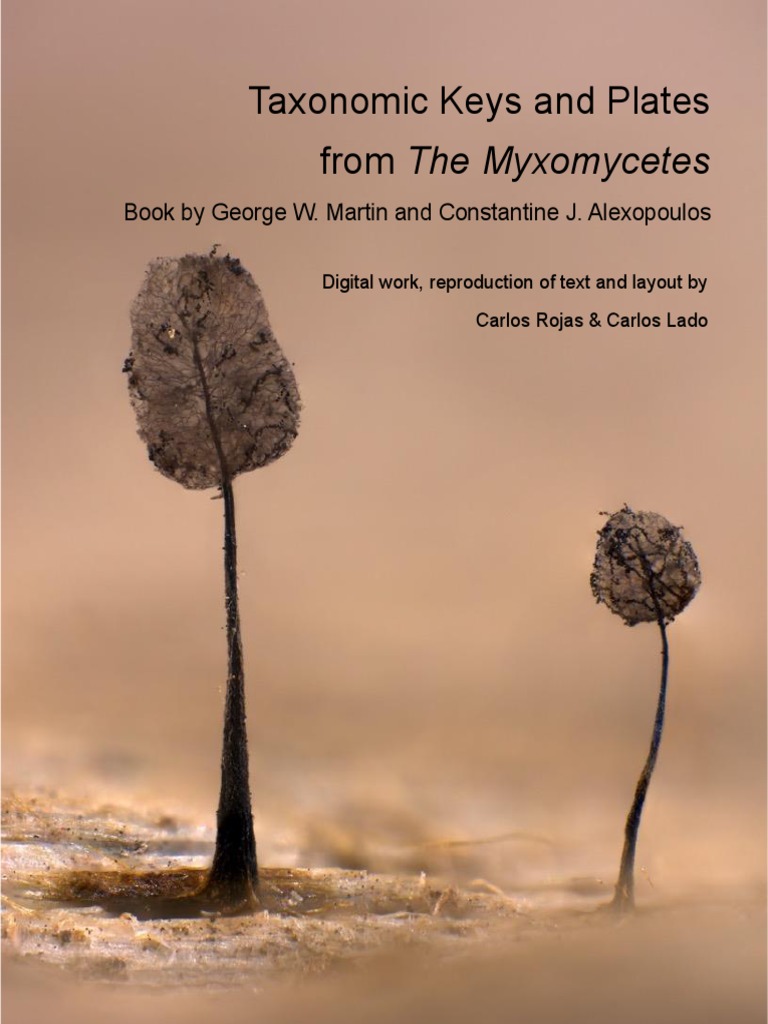 Taxonomic Keys and Plates From The Myxomycetes: Book by George W ...