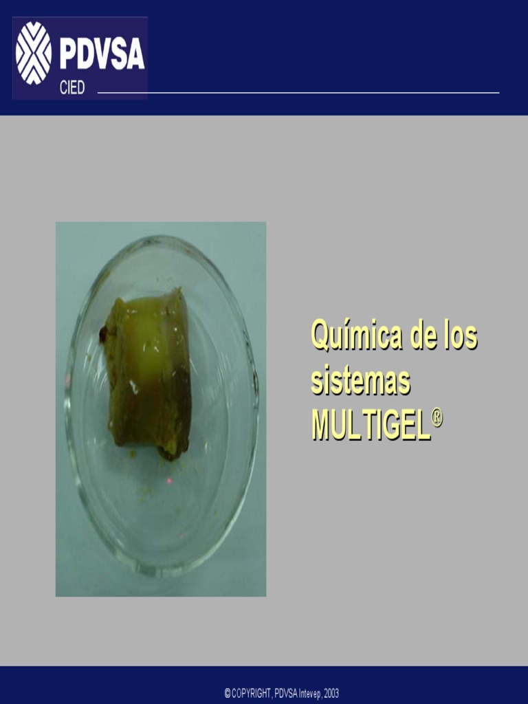3 - Química de Los Sistemas Multigel | PDF | Gel | Agua