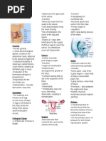 Tah Bso | PDF | Uterus | Gynaecology