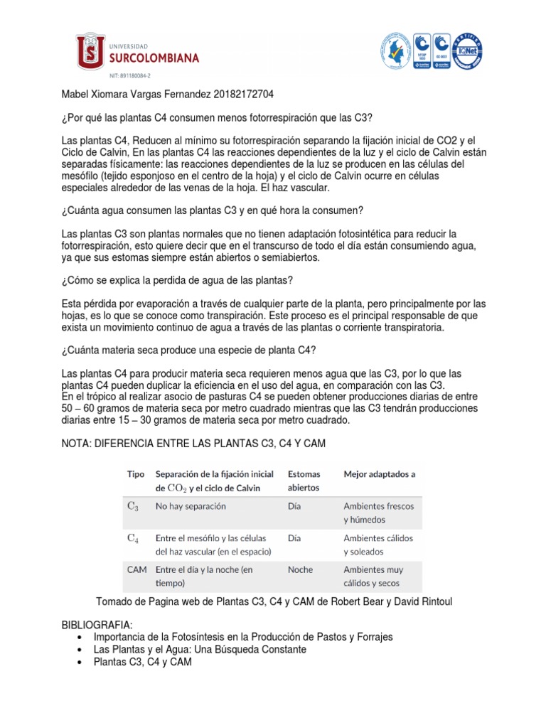 Plantas C3, C4 y CAM | PDF