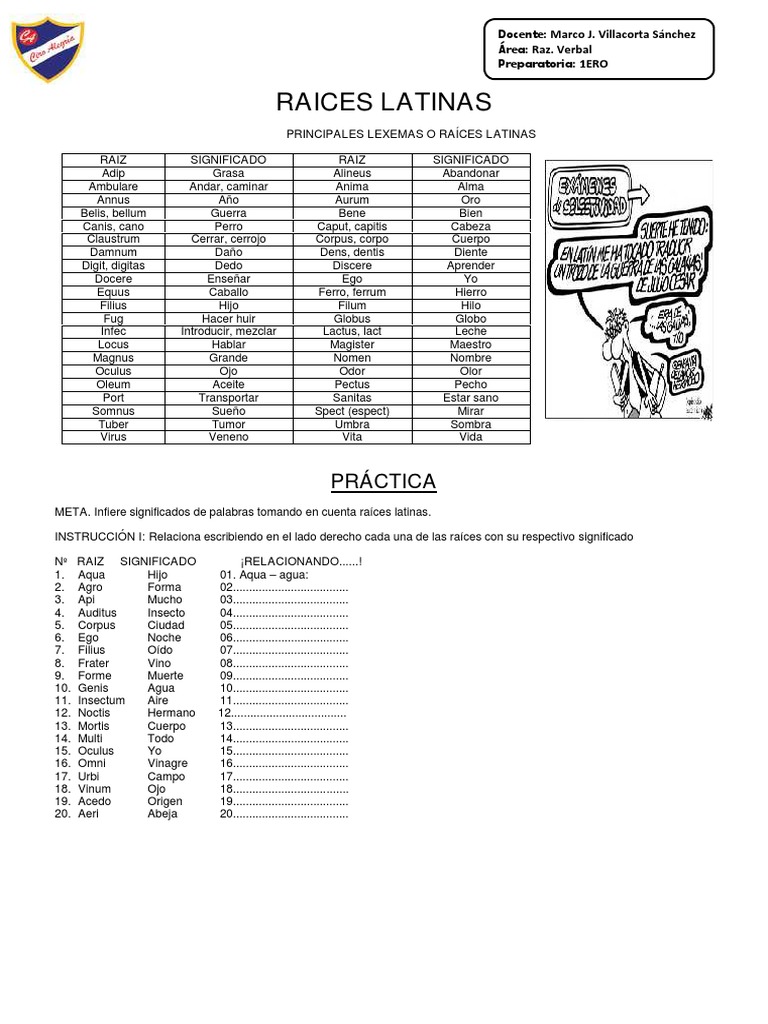 Raíces Latinas y sus Significados | PDF
