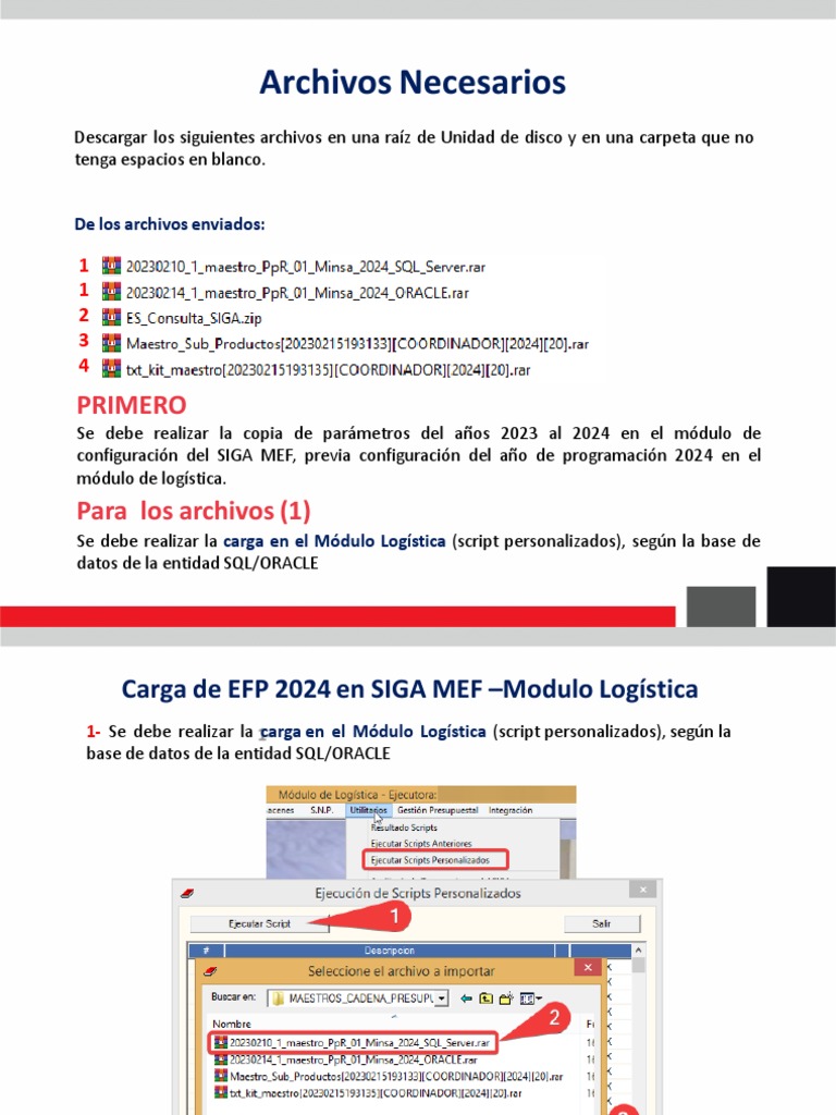 Carga de Archivos para SIGA MEF 2024 | PDF