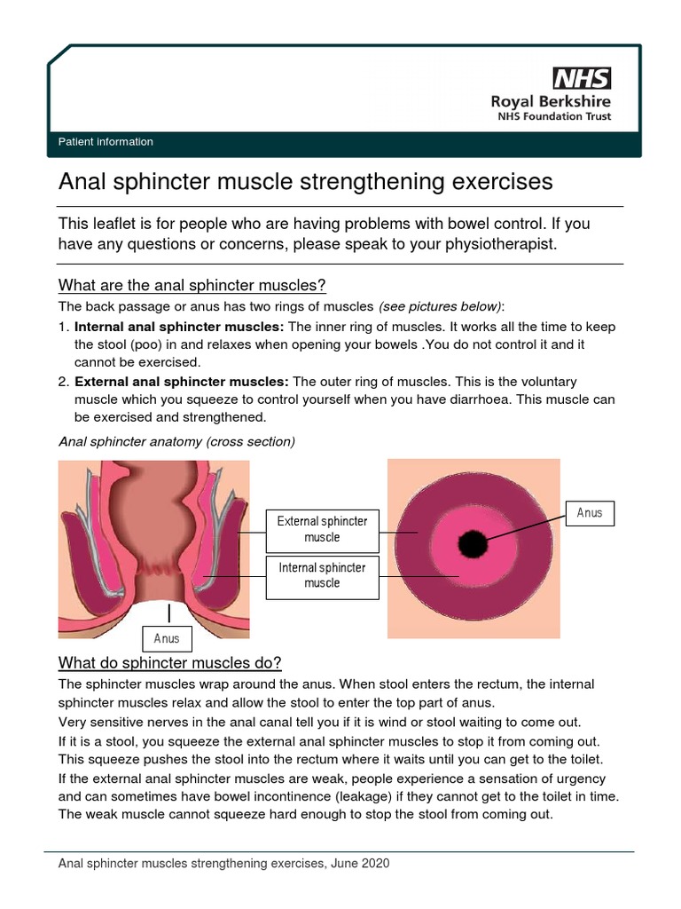 Anal Sphincter Muscles Strengthening Exercises - Jun20 | PDF | Medical ... Anal Sphincter Muscles Strengthening Exercises - Jun20 | PDF | Medical ...