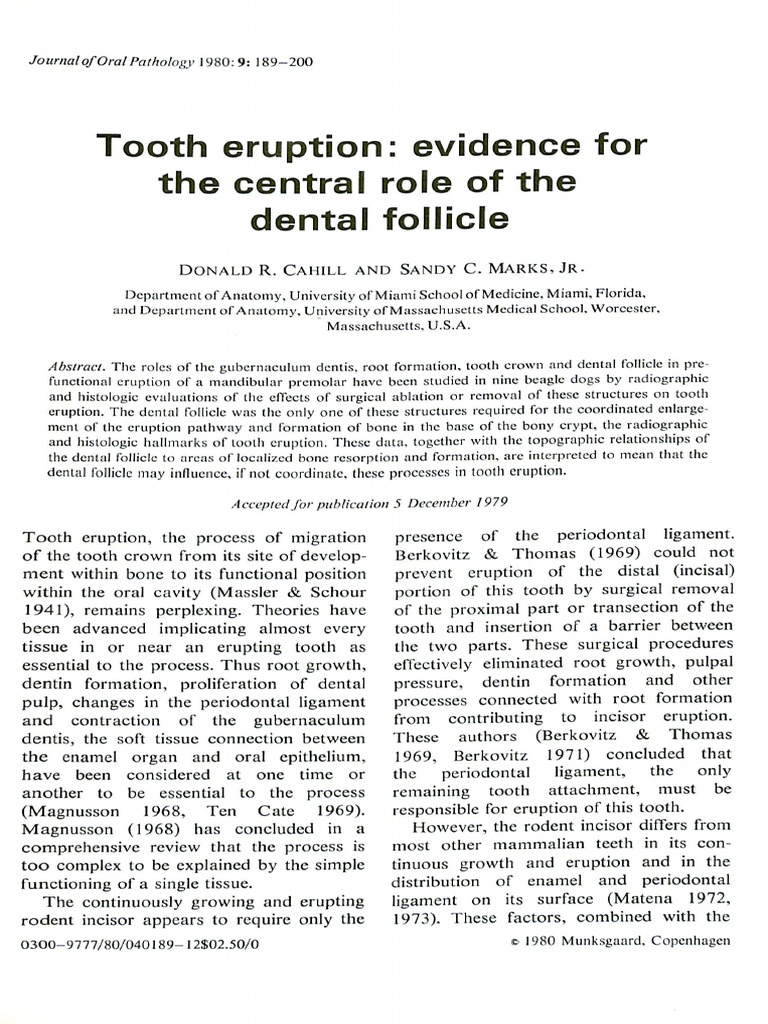 Tooth Eruption Evidence For The Central Role of The Dental Follicle | PDF | Human Tooth | Tooth