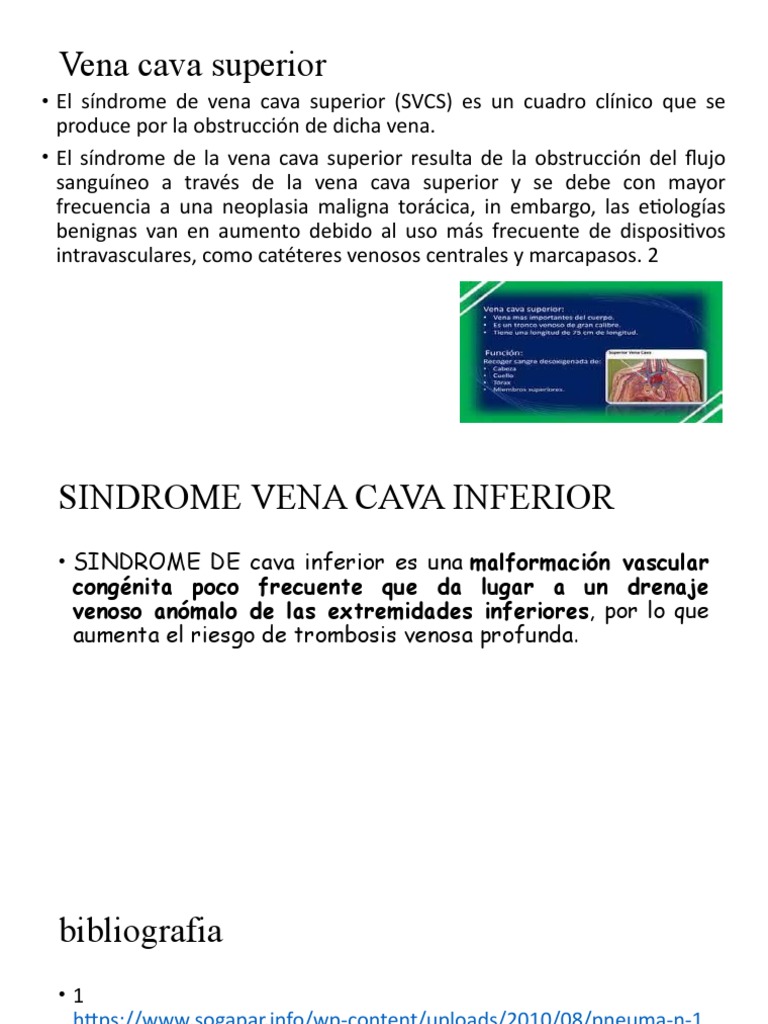 Vena Cava | PDF