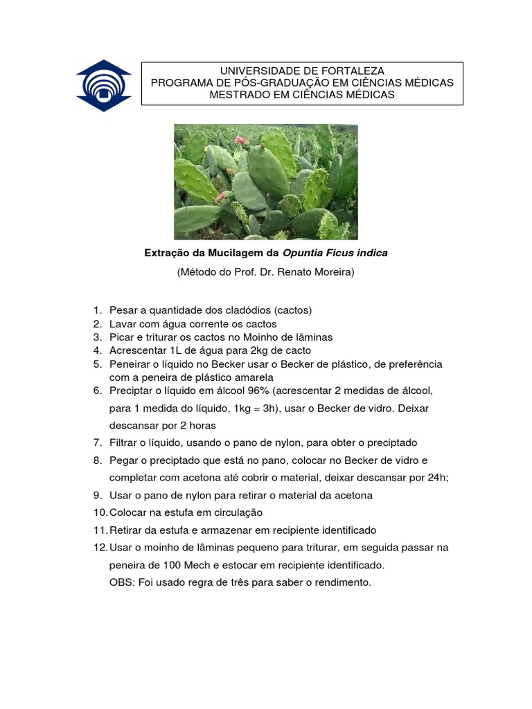 Extração de Mucilagem de Opuntia Ficus Indica | PDF | Ciências e Matemática