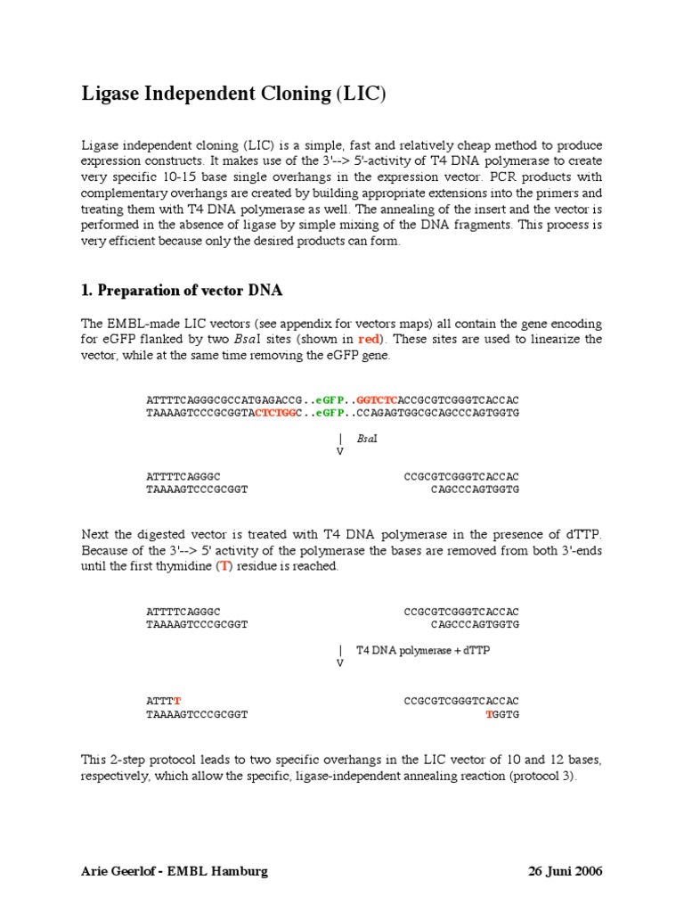 Ligase Independent Cloning (LIC) : 1. Preparation of Vector DNA ...