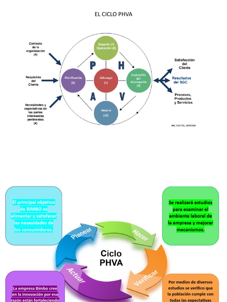 El Ciclo Phva Bimbo | PDF