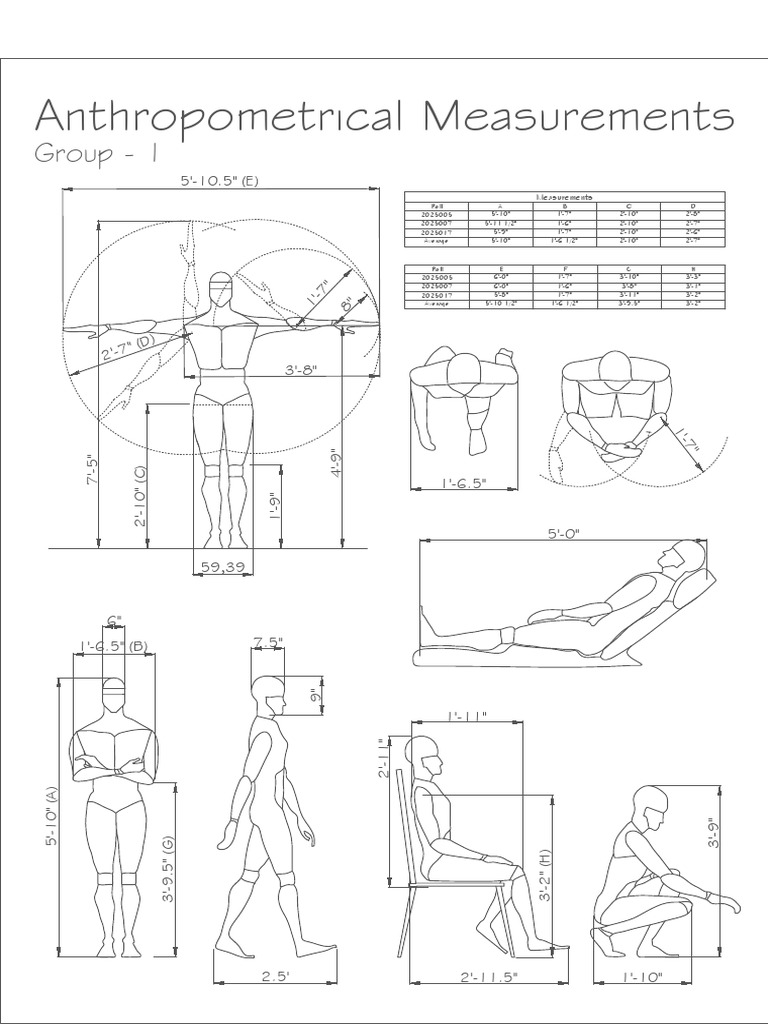 Anthropometry Sheet | PDF