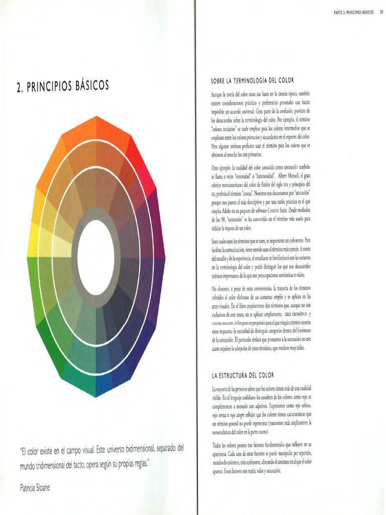 Principios Básicos Del Color | PDF | Color | Negro