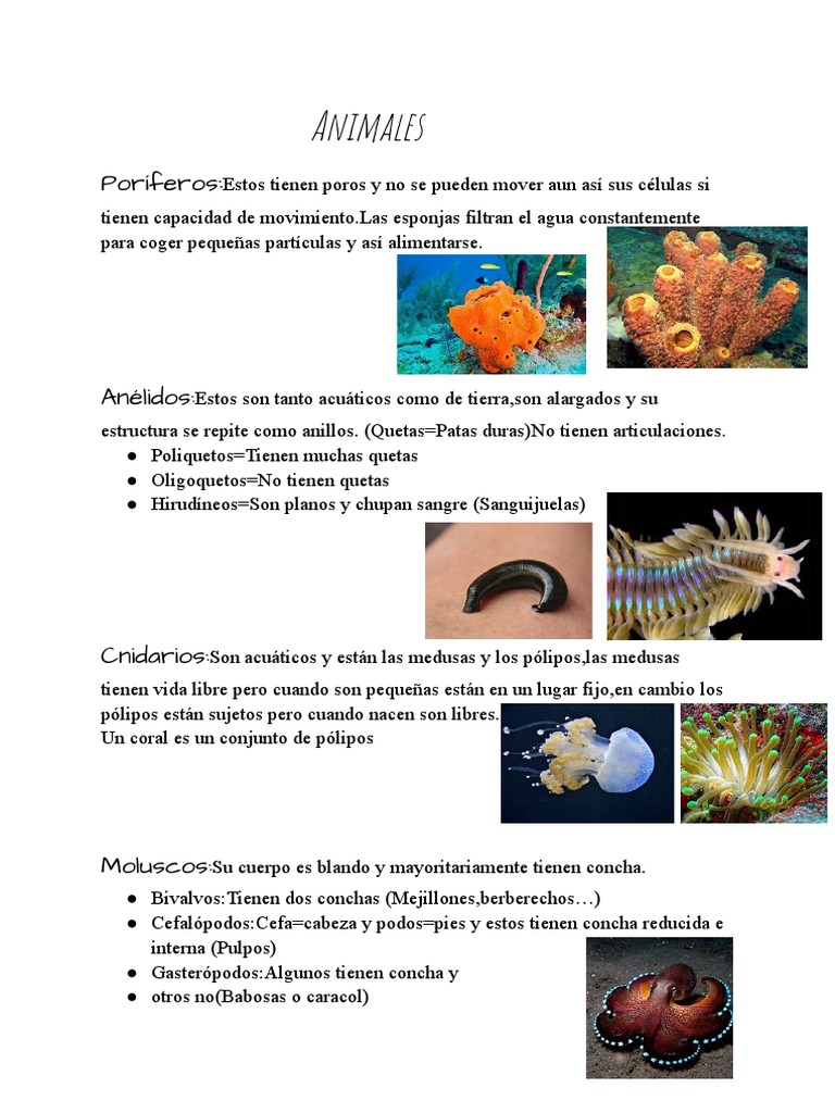 Documento Sin Título | PDF