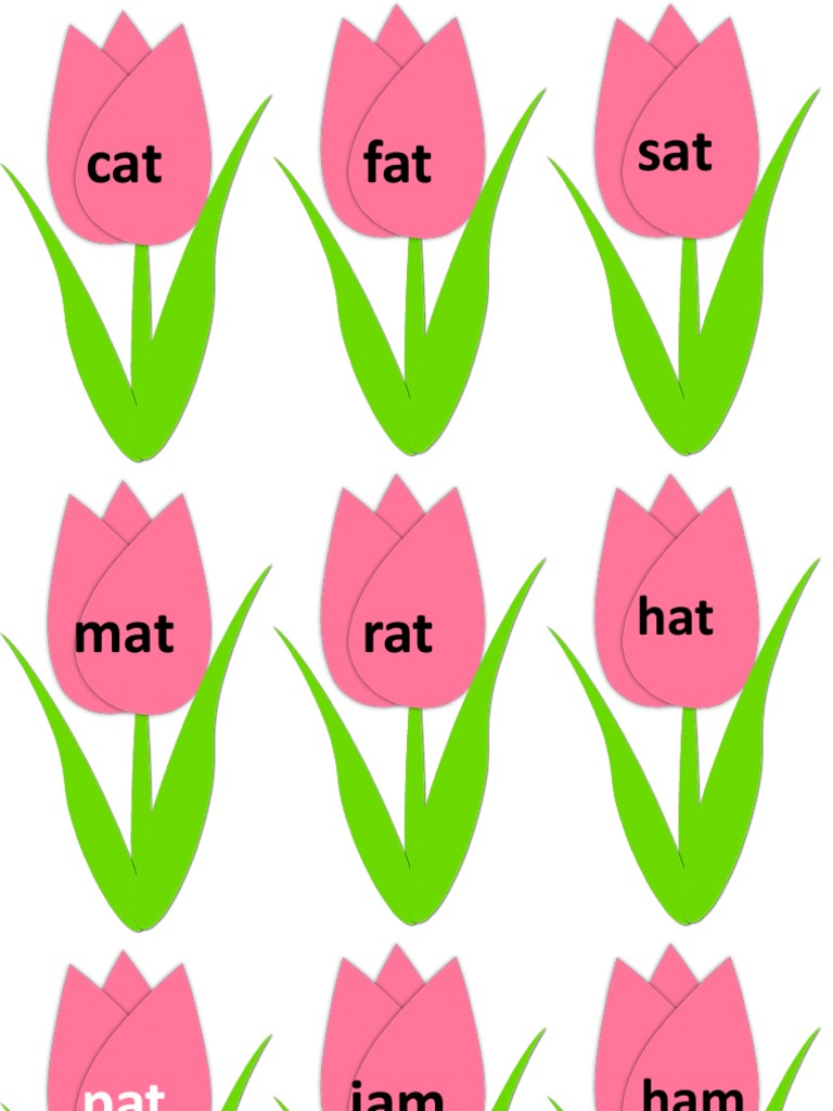 Tulips | PDF