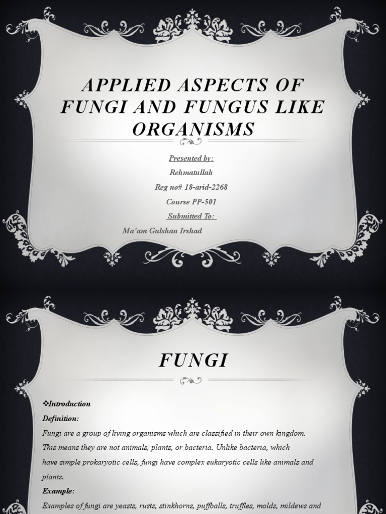 An In-Depth Look at Fungi: Their Definitions, Classifications, Structures, Functions, and ...