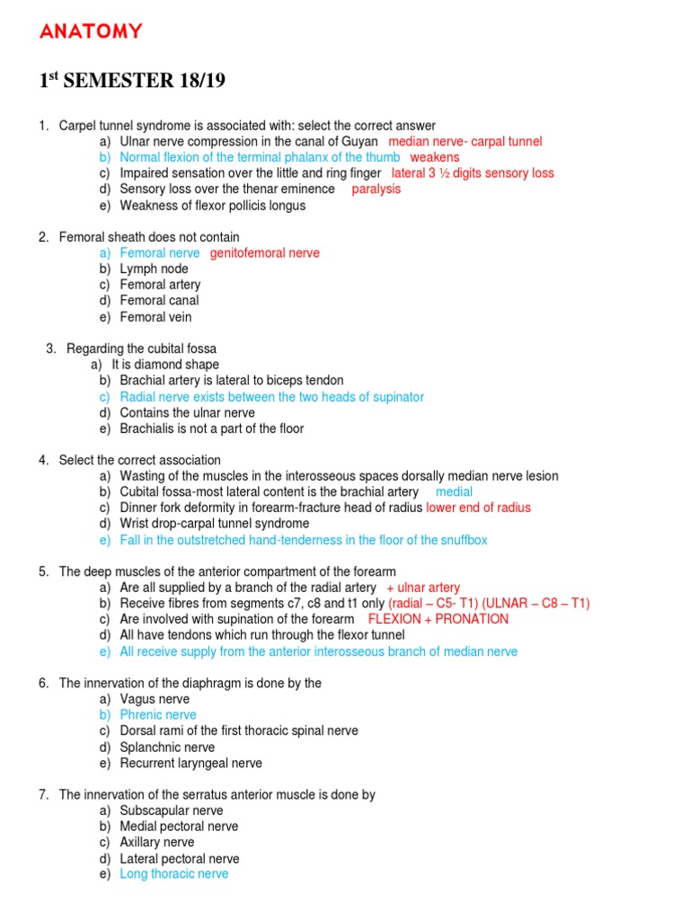 1 SEMESTER 18/19: Median Nerve-Carpal Tunnel Weakens Lateral 3 Digits ...