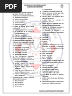 El Relieve Amazónico | PDF | Paisaje | Geomorfología