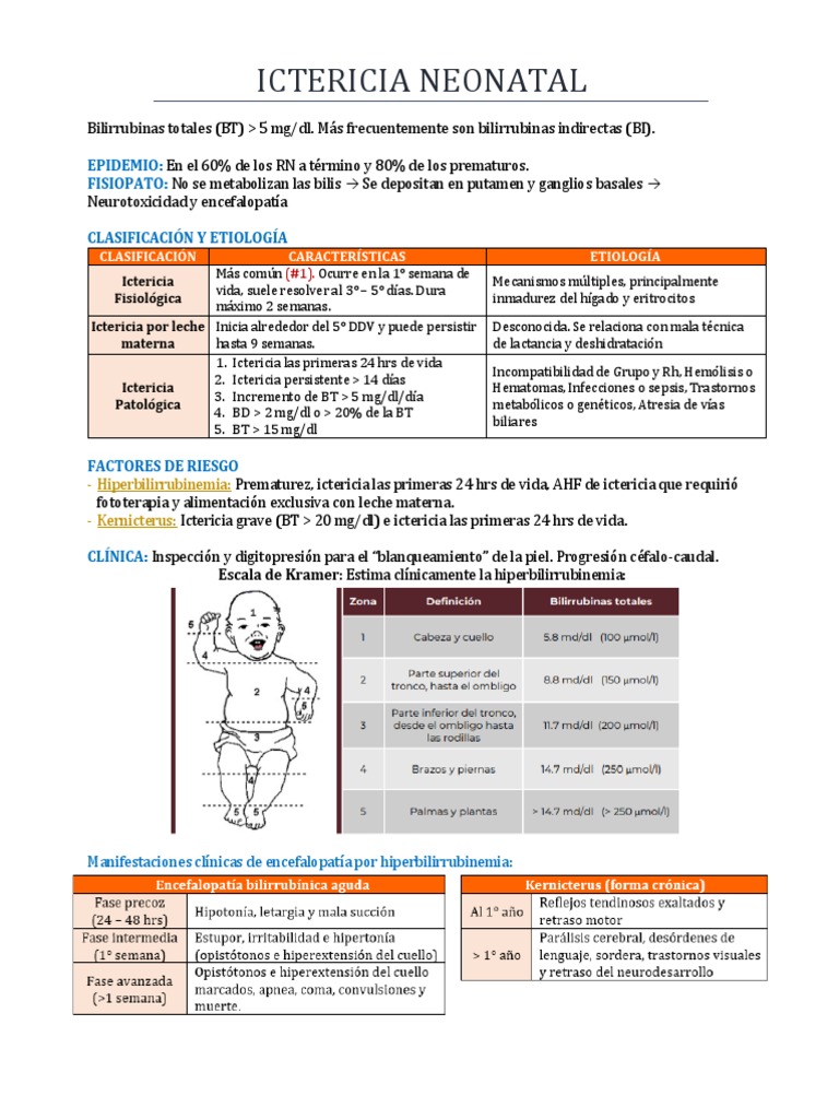 Ictericia Neonatal | PDF