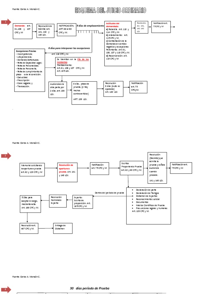 Esquema Juicio Ordinario | PDF