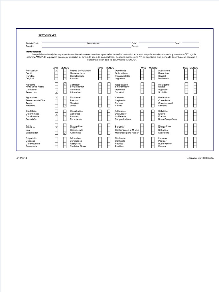 Dokumen - Tips Cleaver-Test | PDF | Creatividad | Persuasión