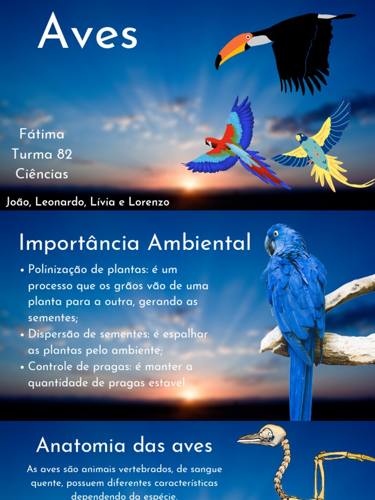 Aves | PDF | Aves | Zoologia