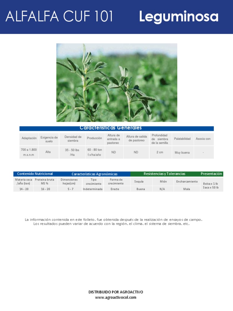 Alfalfa Cuf 101-1 | PDF