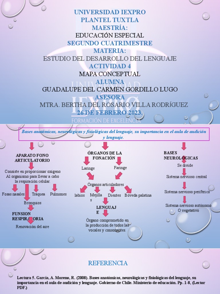 Mapa Conceptual | PDF