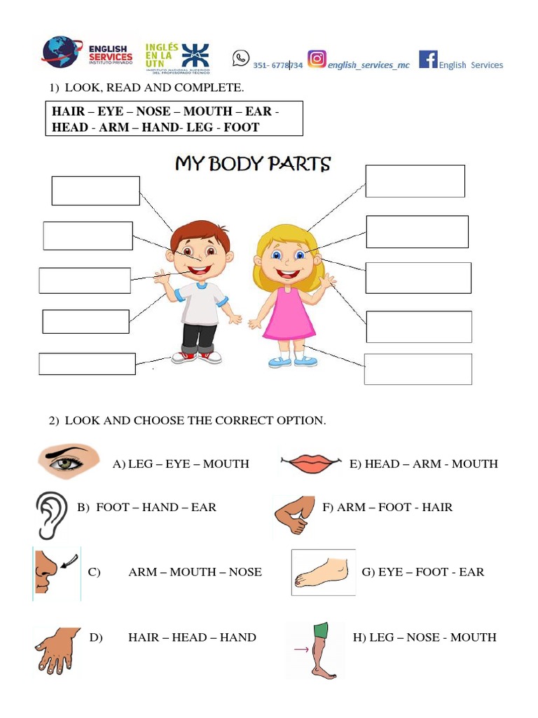 Material 5 - MY BODY - STARTER | PDF