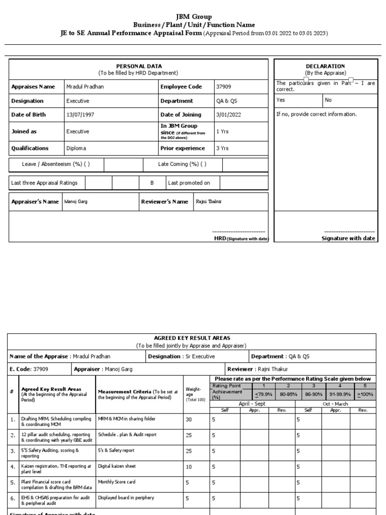 JBM Group Business / Plant / Unit / Function Name JE To SE Annual Performance Appraisal Form ...
