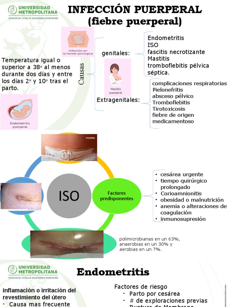 Infección Puerperal | PDF
