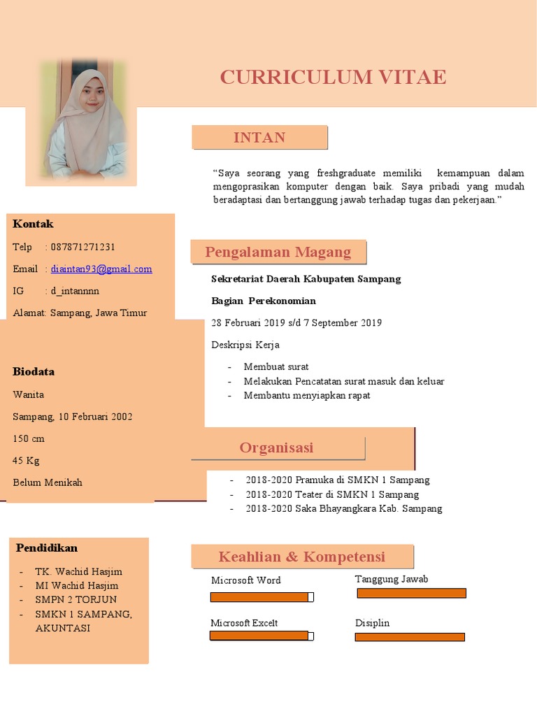 Curriculum Vitae: Intan | PDF | Karier & Perkembangan