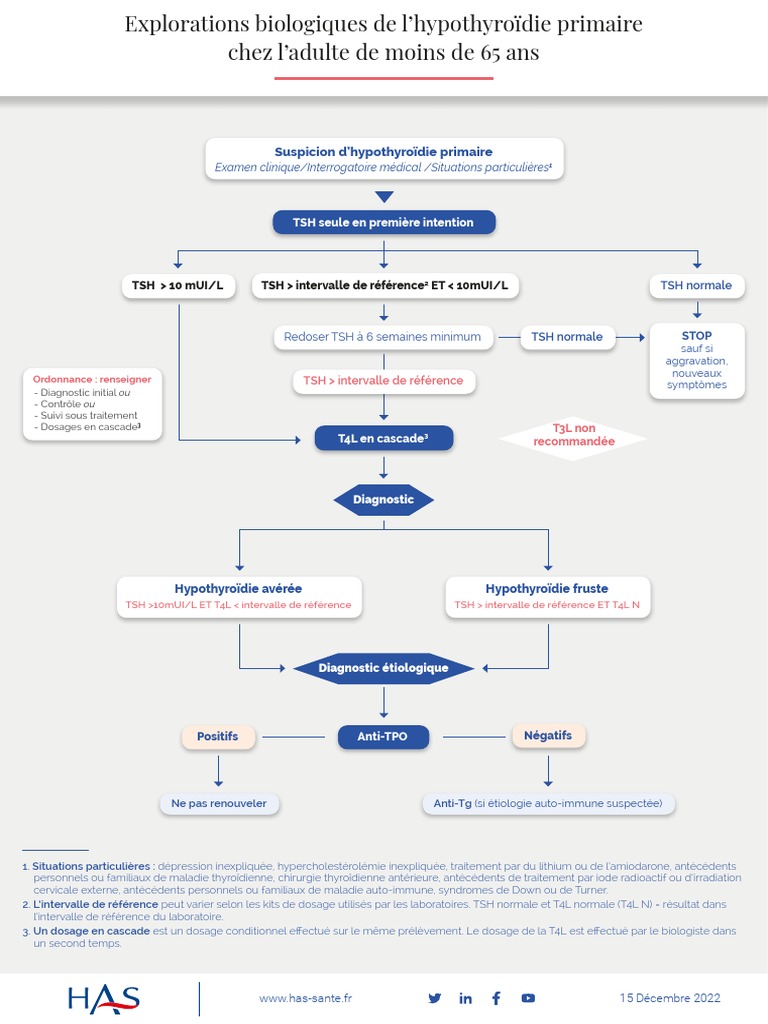 Arbres Décisionnels - Hypothyroïdie | PDF