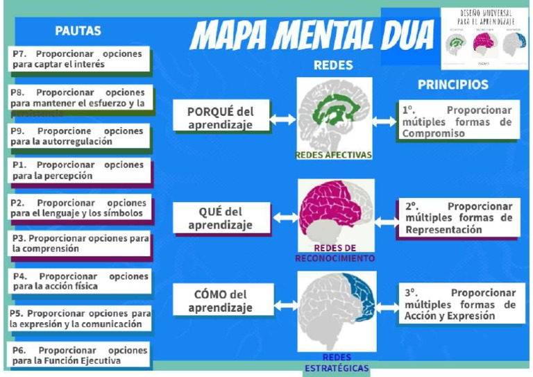 Mapa Conceptual Del DUA | PDF