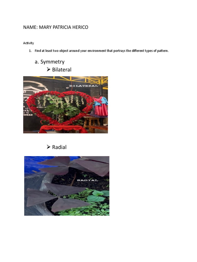 Herico | PDF | Philosophy