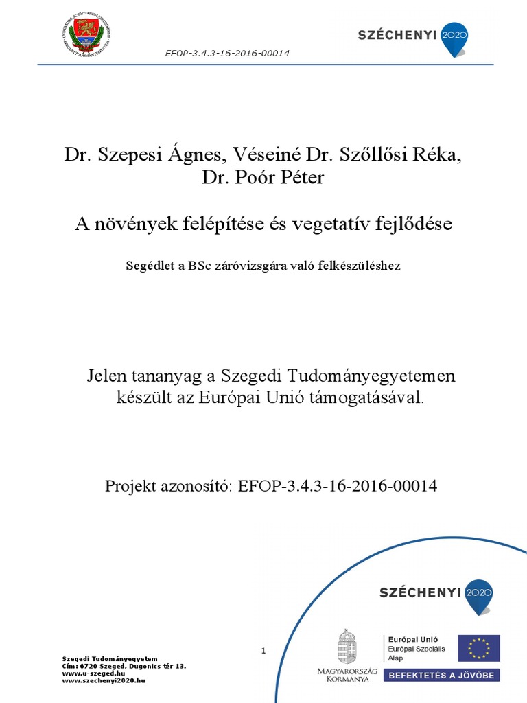 1B - A Növények Felépítése És Vegetatív Fejlődése | PDF