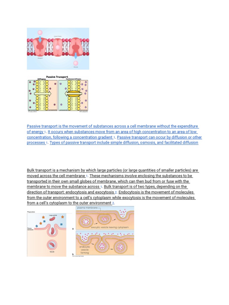 Cell TP Explained | PDF