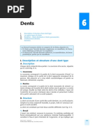 Anatomie du diaphragme stylien | PDF | Tête et cou chez l'humain ...