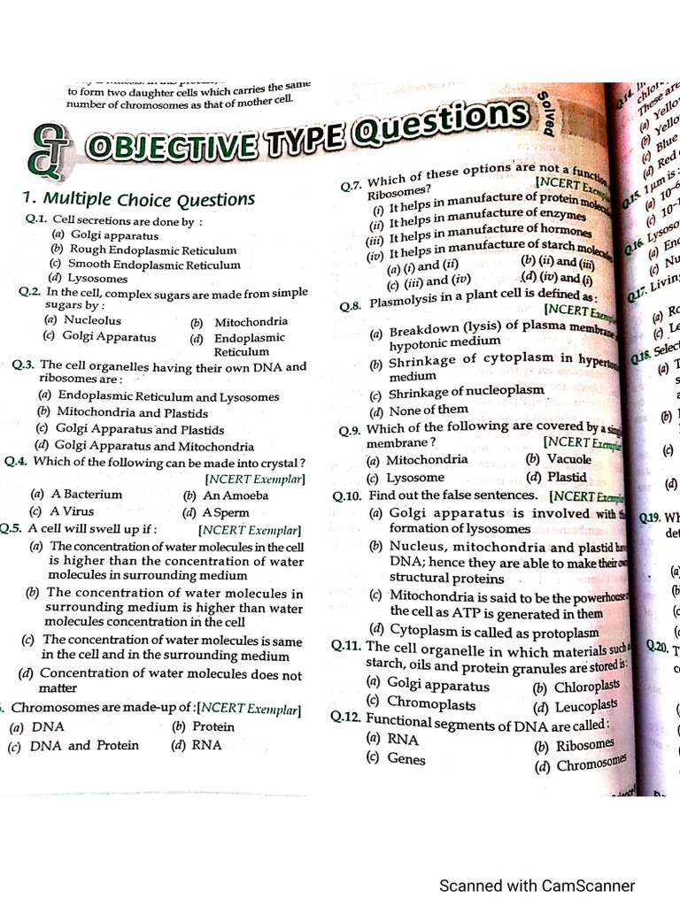 MCQS and Assertion and Reasoning Class9 CH 5 Science | PDF