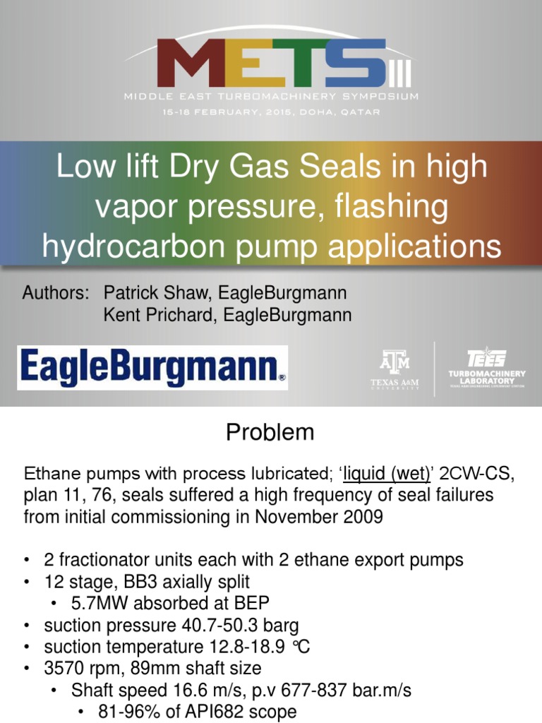 Wet Gas Seal On Centrifugal Pump - Eagle Brugmann | PDF | Pump ...