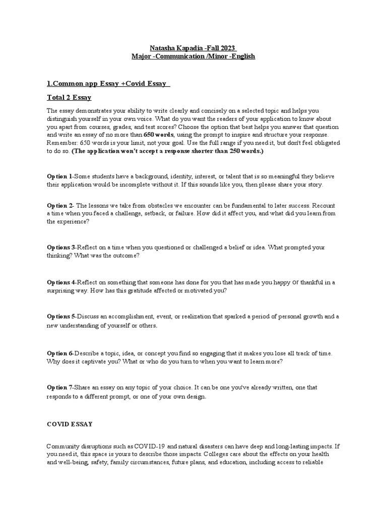College Application Essay Prompts Guide | PDF