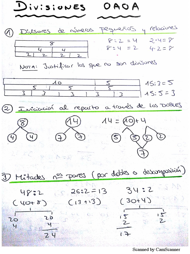 Cuadro Resumen Divisiones Metodo Oaoa | PDF