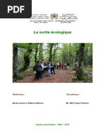 Sortie Écologique | PDF | Écologie | Plantes
