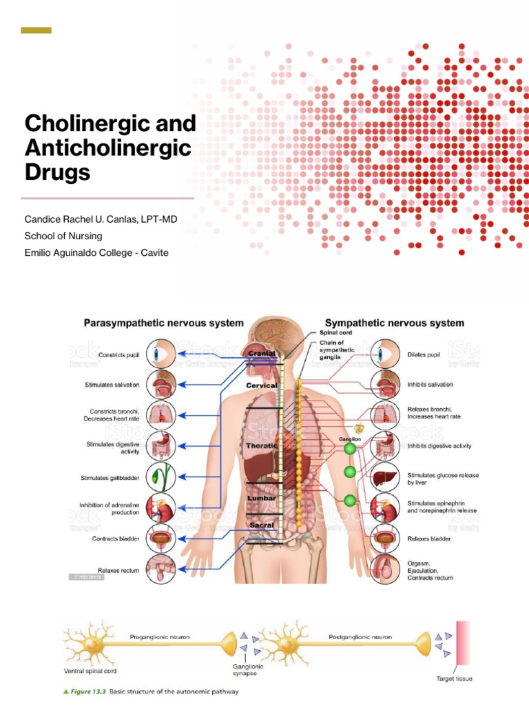 Cholinergic and Anticholinergic Drugs | PDF