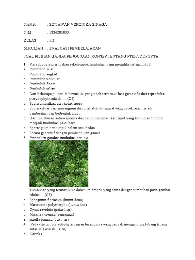 20 Soal Tugas Mandiri EPB | PDF