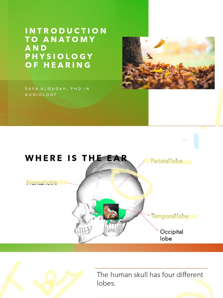 Introduction To Anatomy and Physiology of Hearing | PDF | Ear | Auditory System