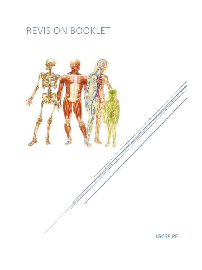 Igcse Pe Revision Booklet Pdf Breathing Lung