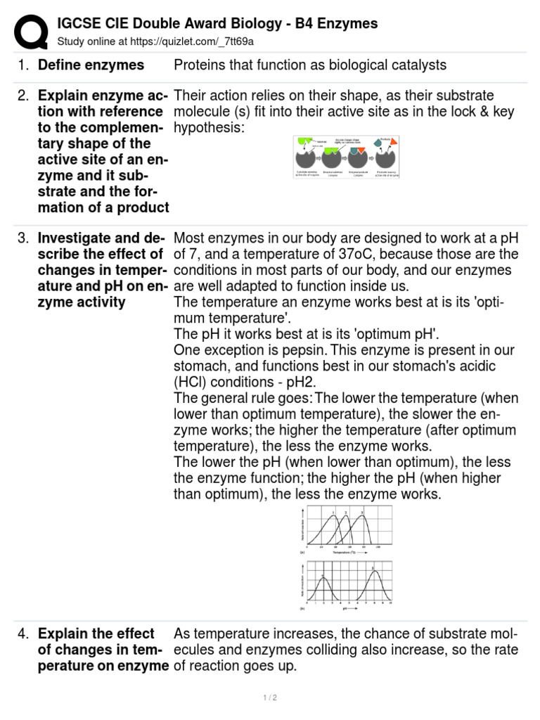 Understanding How Temperature, pH, and Shape Affect Enzyme Activity and Function | PDF | Enzyme ...