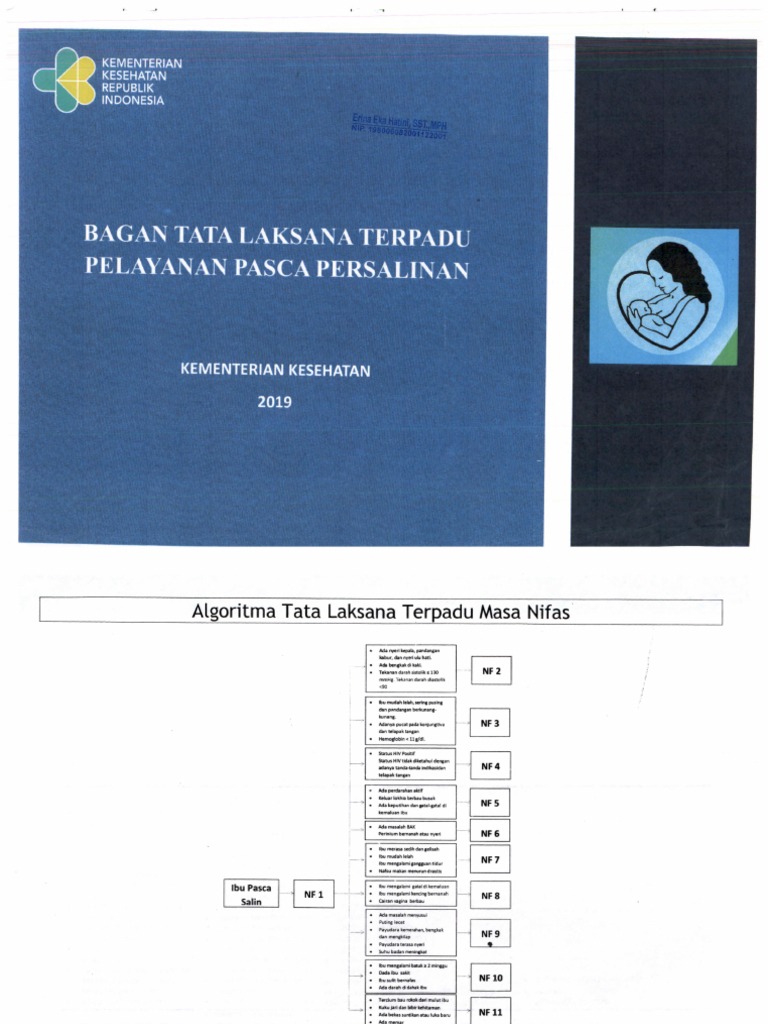 Bagan Tatalaksana Terpadu | PDF