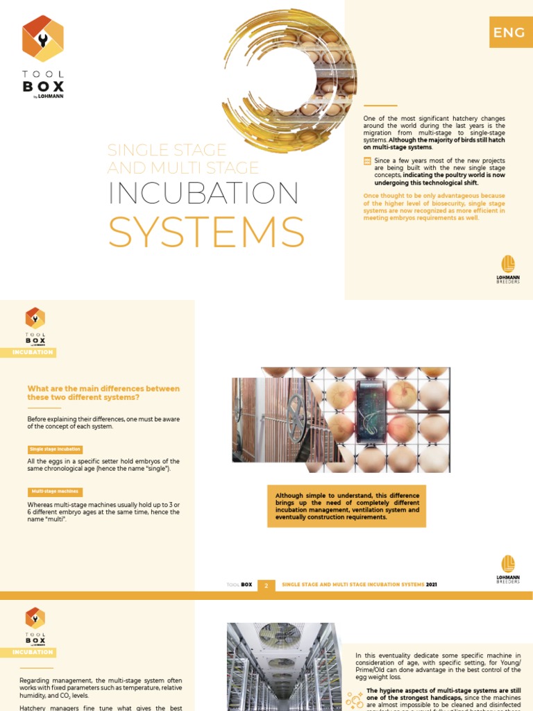 Single Stage and Multi Stage: Incubation | PDF