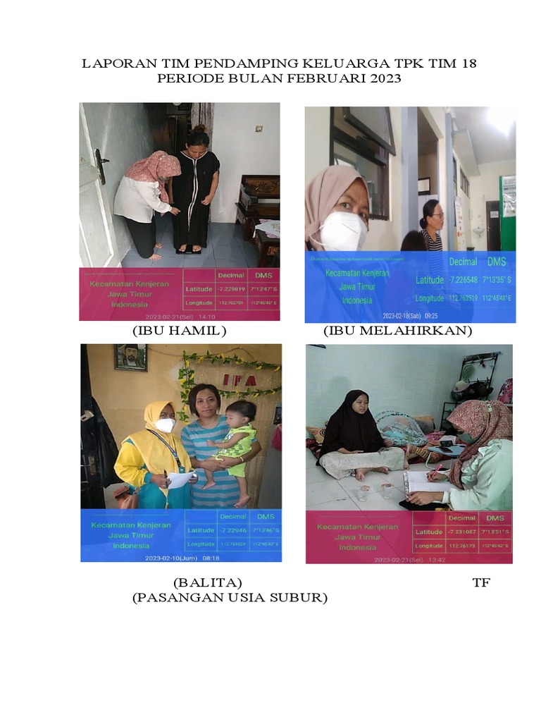Laporan Tim Pendamping Keluarga TPK Tim 18 Bu Kader Wulan RW 6 | PDF