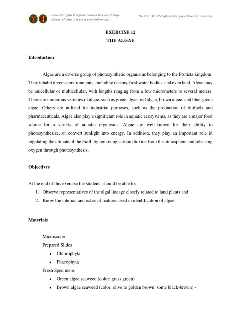 Lab Rep 12 | PDF | Algae | Plants