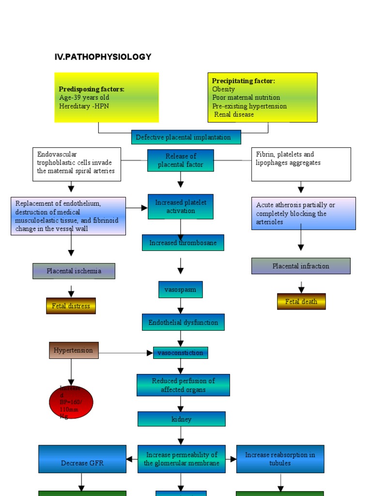 Iv - Pathophysiology: Predisposing Factors: Precipitating Factor | PDF ...